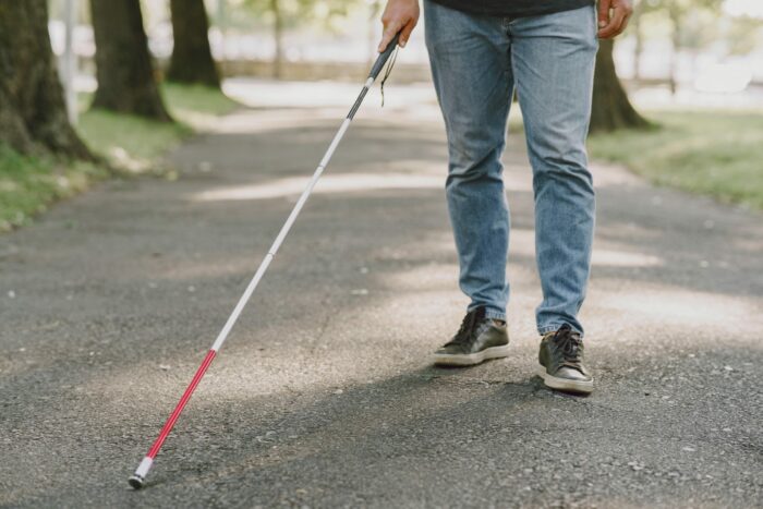 Retinal Diseases: Causes and Prevention of Blindness